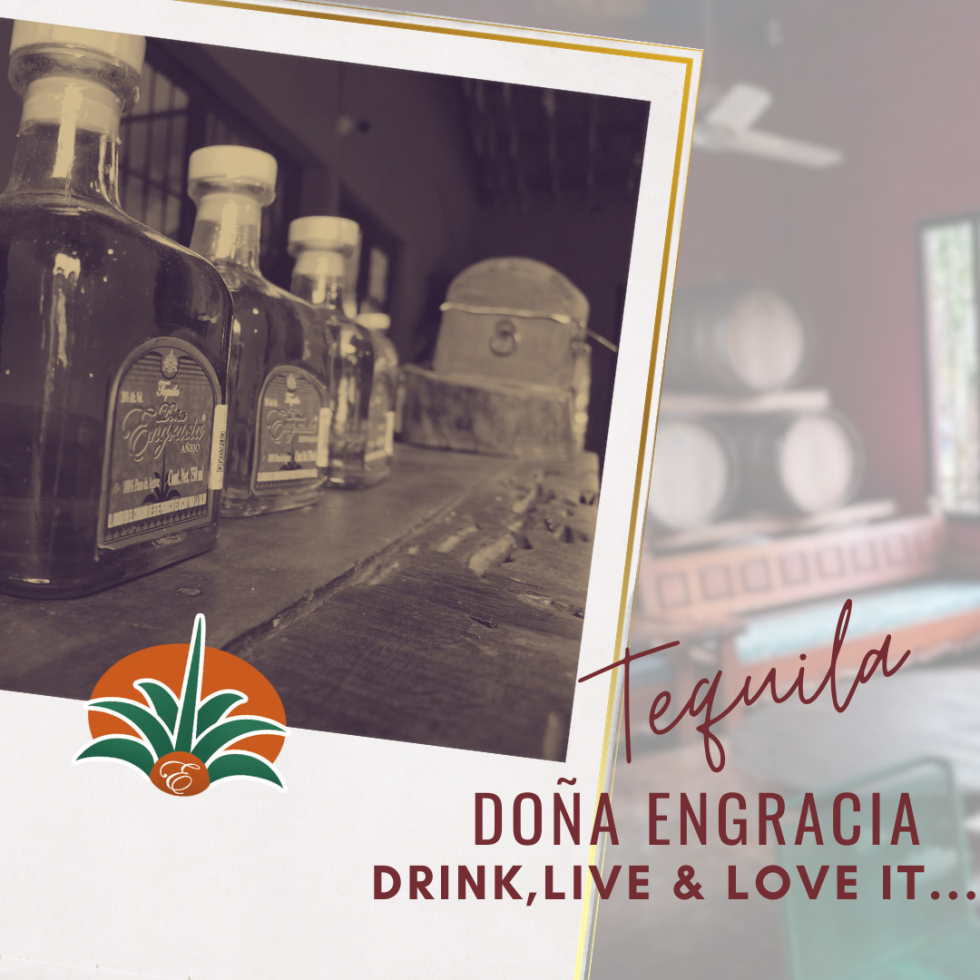 Tequila Tour in Puerto Vallarta